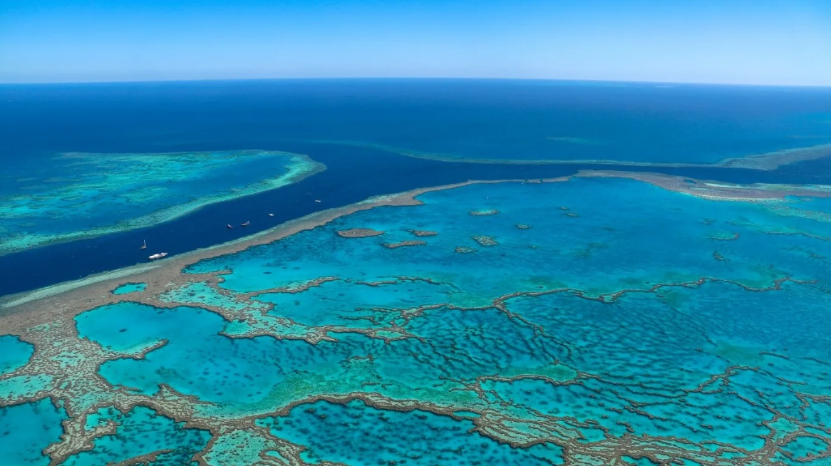 Australija: Klimatski katastrofičari omanuli u prognozama za Veliki ...